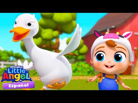 Diversión en la granja 🦆 Canciones Infantiles 🎵 Little Angel Español