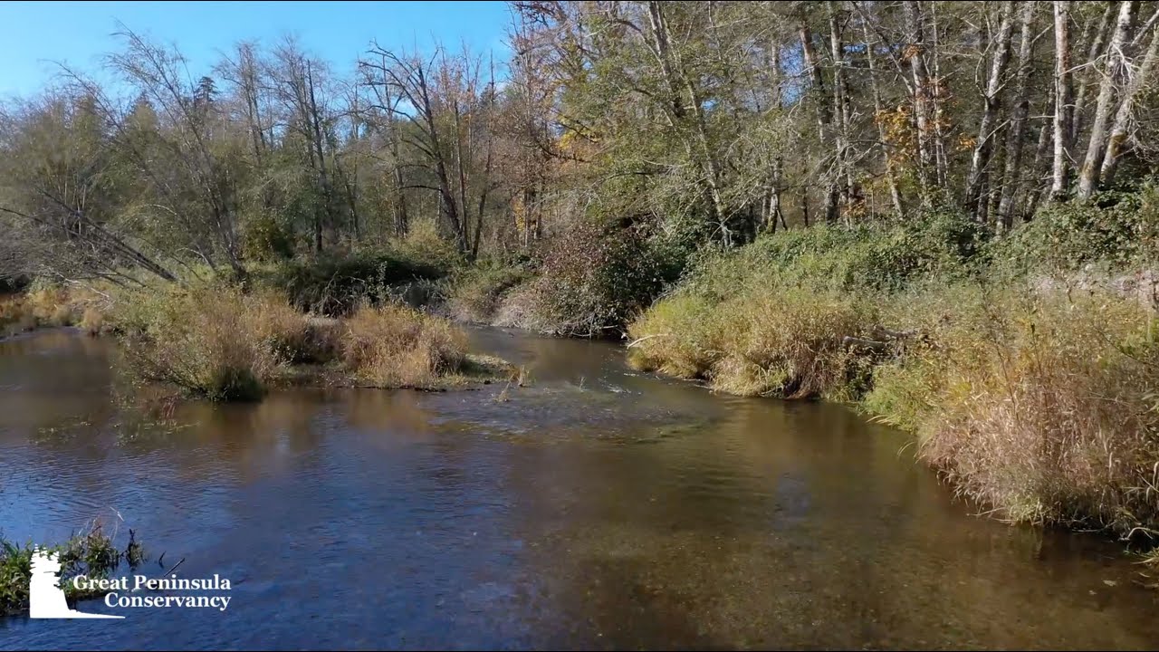 5 Minutes of relaxation along Tahuya River at Great Peninsula ...