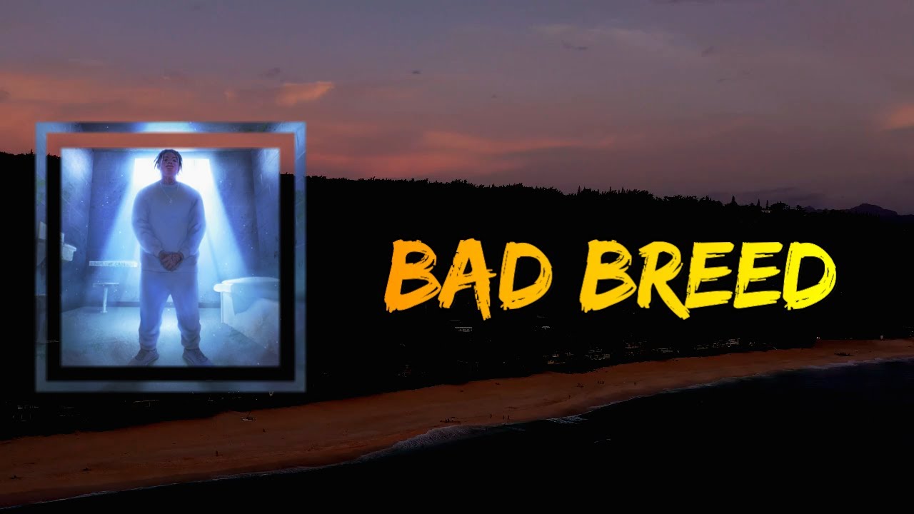 Sheff G - Bad Breed (Lyrics) - YouTube