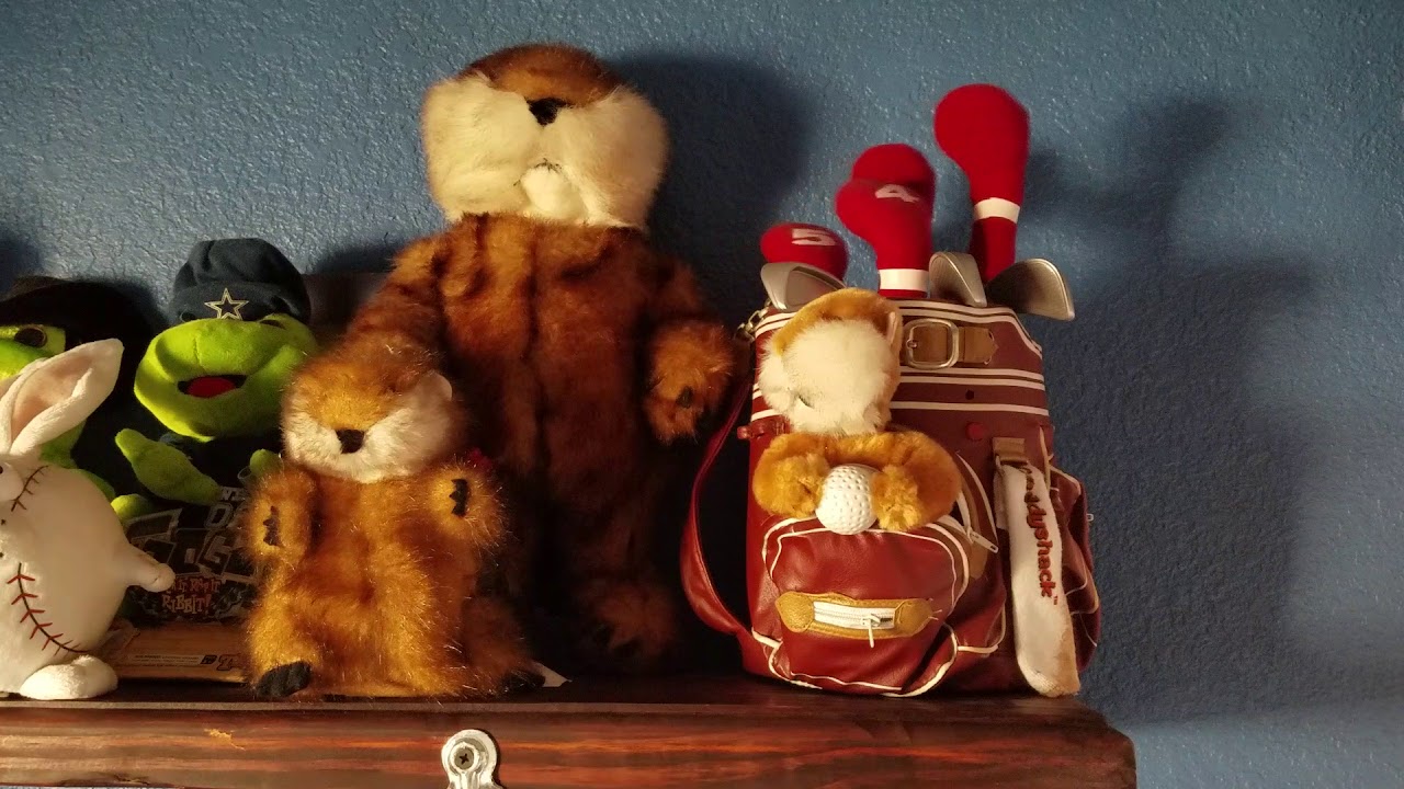 3 Gemmy Caddyshack Gophers - YouTube