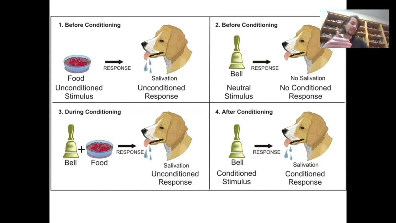 PSYC 370 Video Lecture - Introduction to Classical Conditioning - YouTube