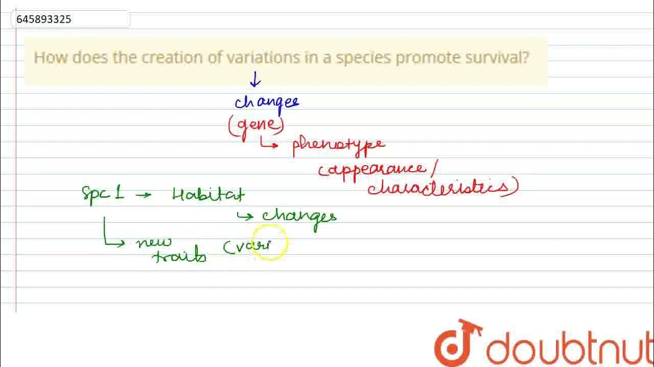 How does the creation of variations in a species promote survival ...