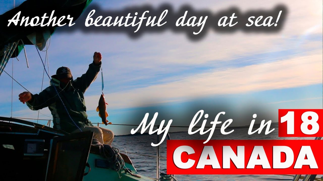 Another beautiful day at sea - YouTube