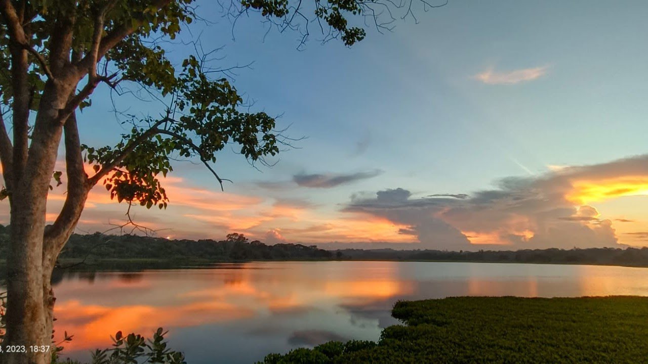 Tried to sing "Jane Anajane Log Mile" from film Jane Anjane by Kishore ...