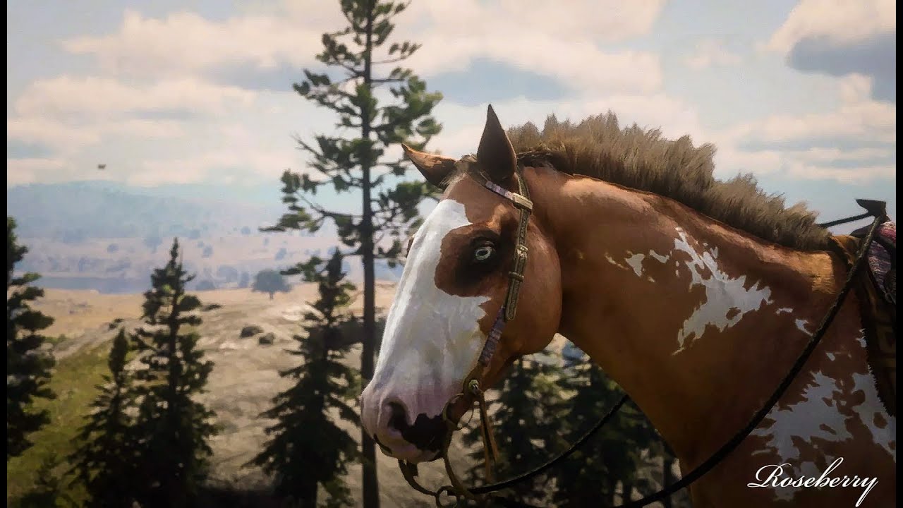 Red Dead Online Mustang: Red Dun Overo - YouTube
