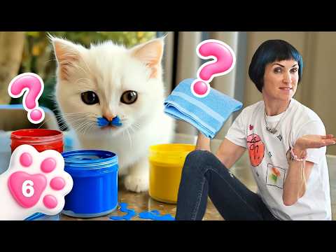 Kefir ve papağanla kartondan ev yapıyoruz: çok eğlenceli! Çocuk videoları.