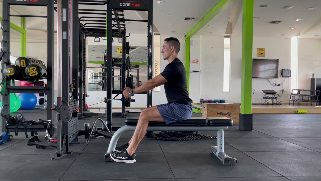 Espalda, remo bajo en polea agarre neutro (seated cable row) - YouTube