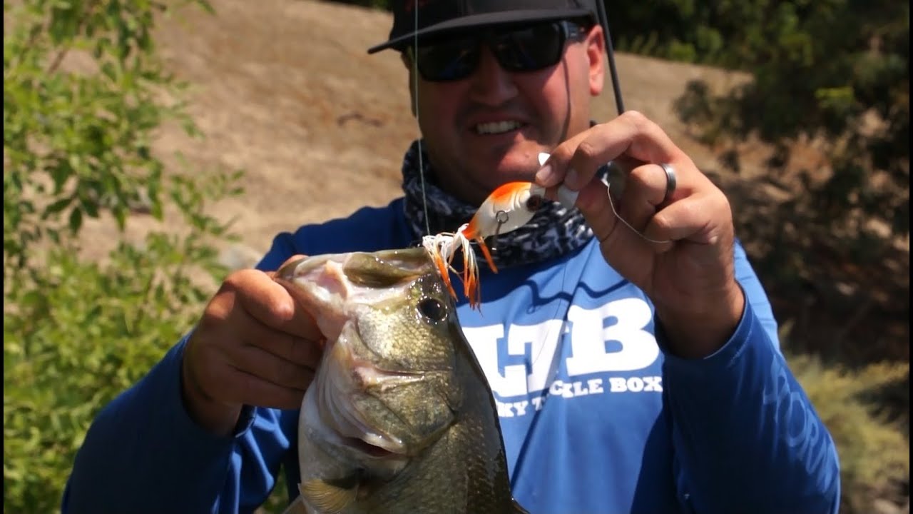 Summertime Bass Fishing Tips! - YouTube