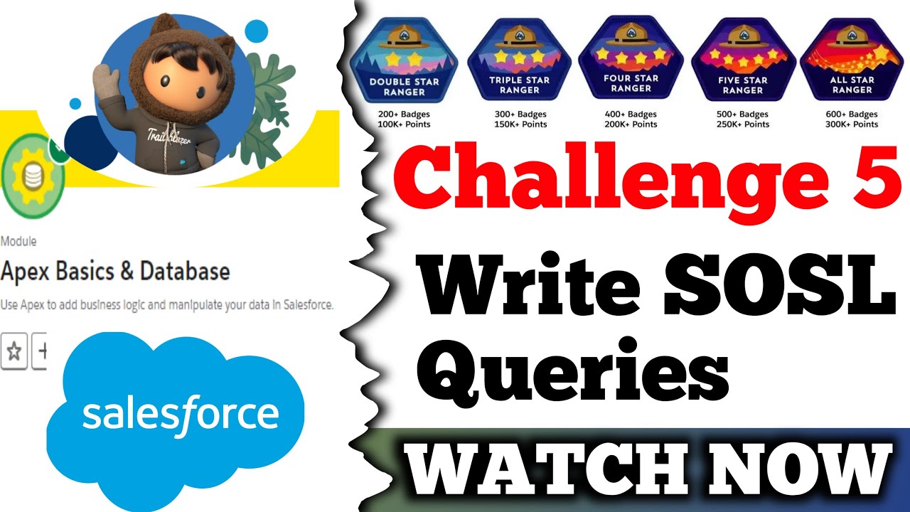 Write Sosl Queries Apex Basics And Database Salesforce Challenge 9152