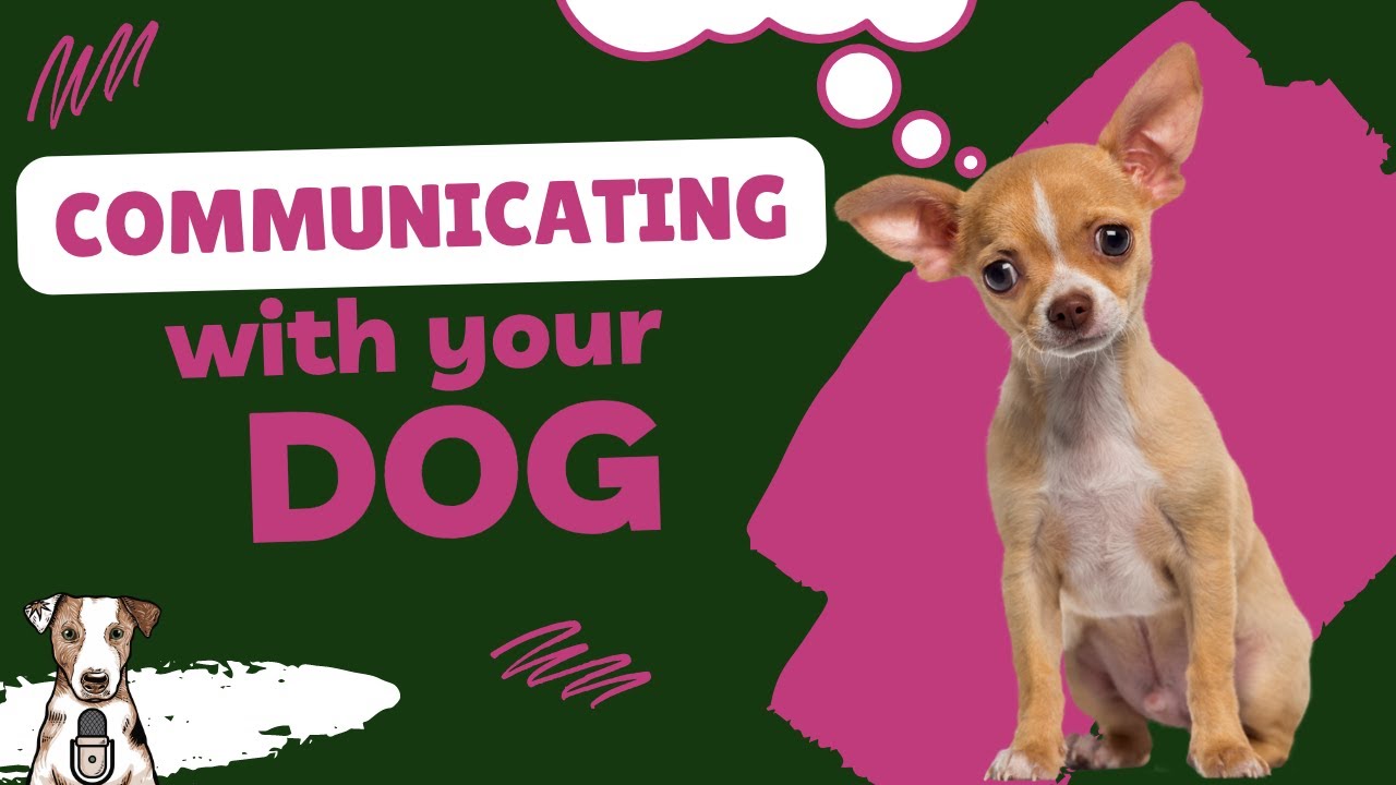Communicating with Your Dog with Dr. Isla Fishburn of Kachina Canine ...