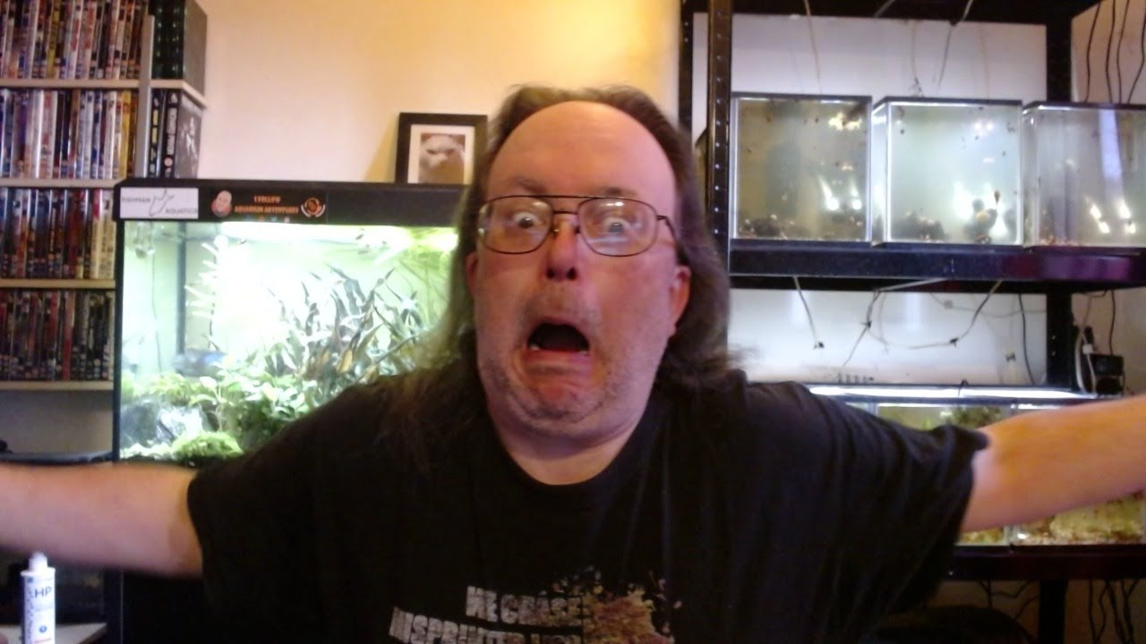 Sunday Sharpe: Ya ree ba? - YouTube