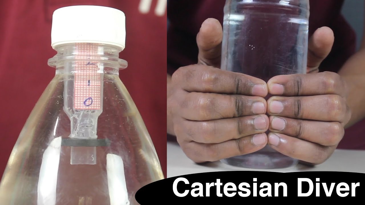 Cartesian Diver | ThinkTac | DIY Science - YouTube