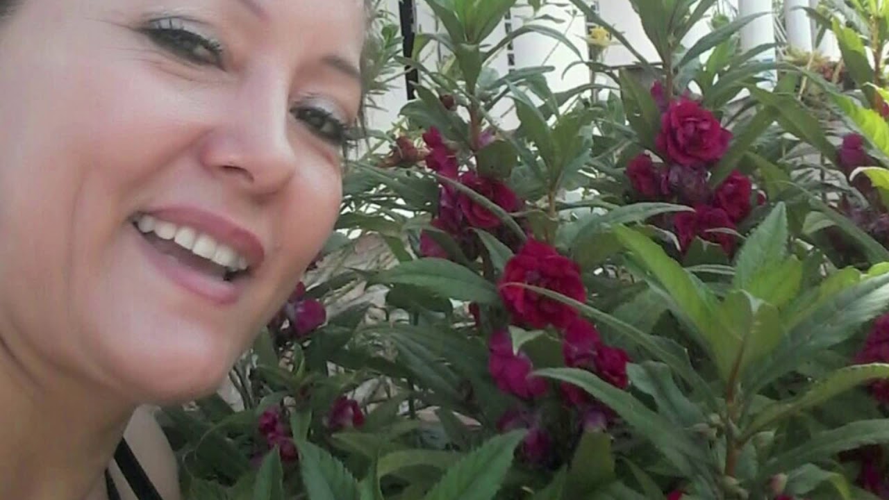 CABALLO RUCIO CABALLO - YouTube