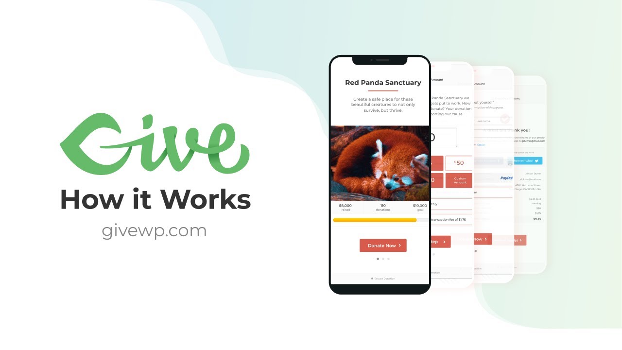 How Does GiveWP Work? - YouTube