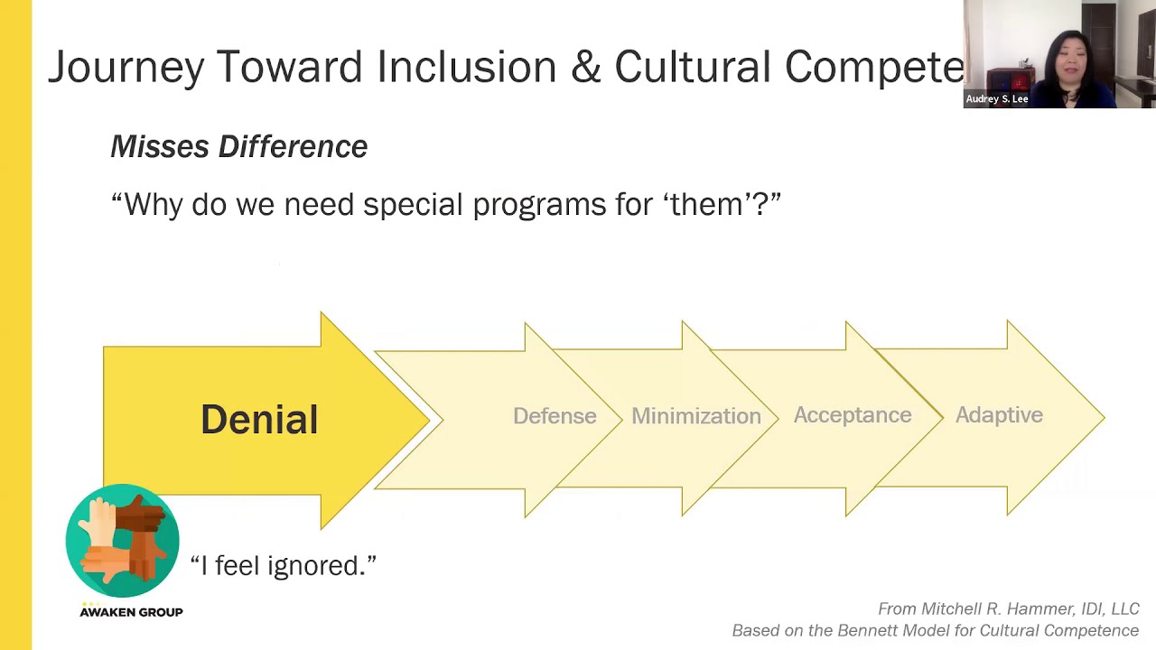 Transformation Journeys: Designing Inclusion Part 2 - The Bennett Model ...