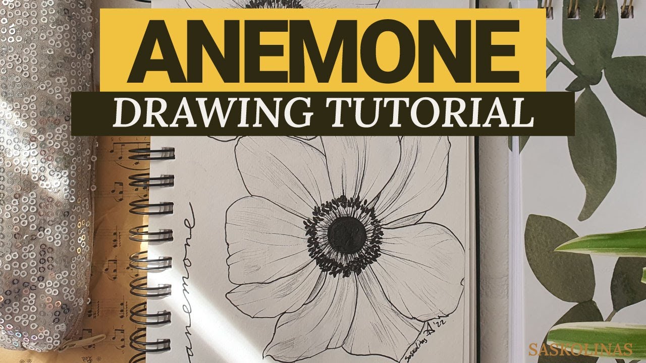 Anemone Drawing Tutorial - How To Draw Botanical Flowers (Step By Step ...