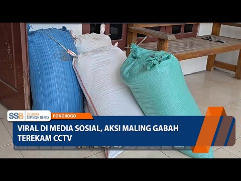 PONOROGO - Viral Di Media Sosial, Aksi Maling Gabah Terekam Cctv