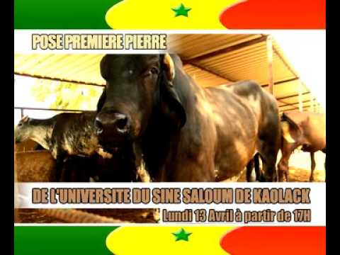 Annonce pose première pierre Université Sine Saloum El Hadj Ibrahima ...