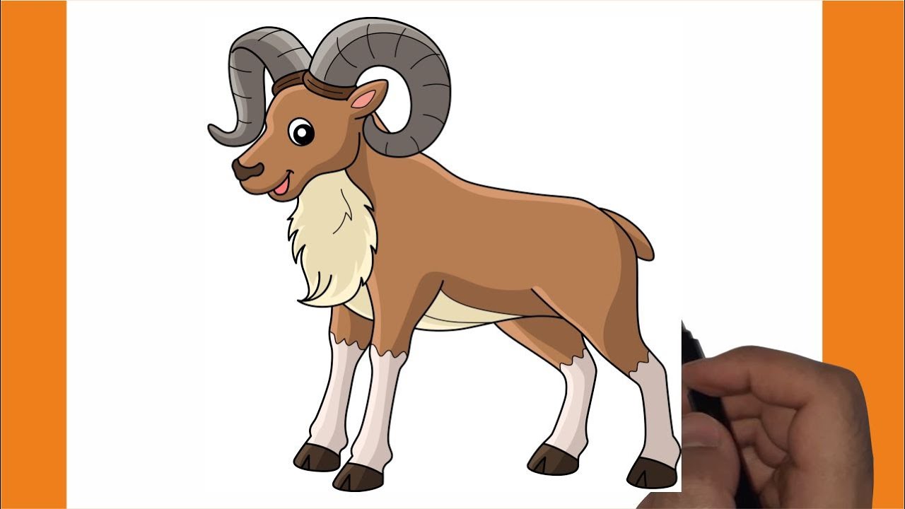 How to Draw an Urial Easy Step by Step | Sheep Drawing | Animal drawing ...