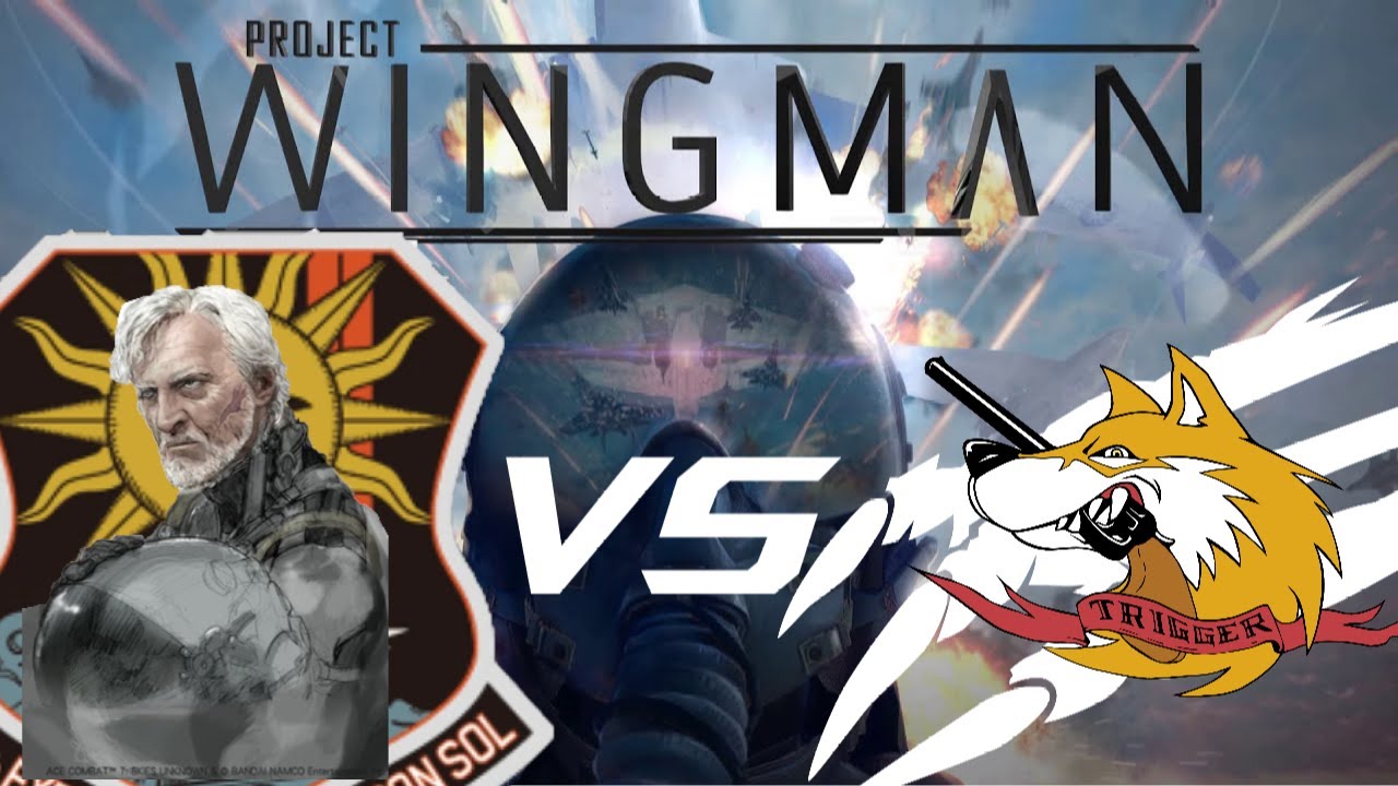 SUPERIORITY Battle between Trigger and Mihaly done in Project Wingman ...