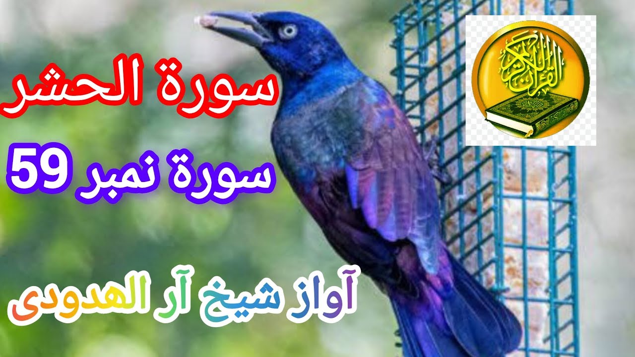 surah Al hashar surah number 59 - YouTube