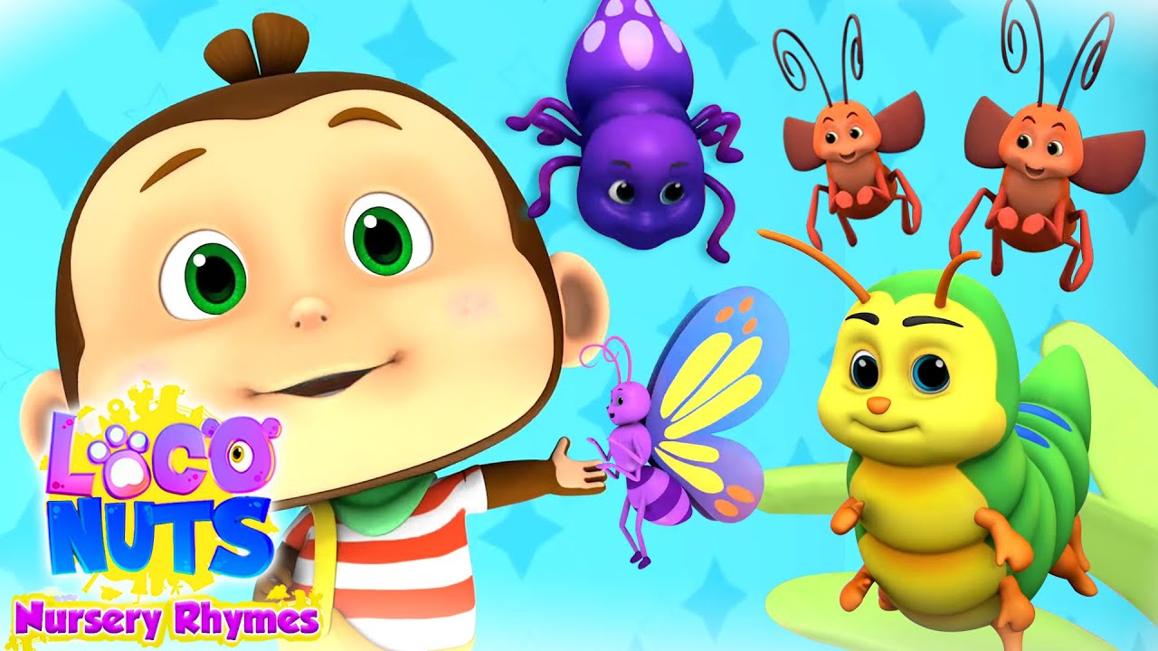 Bugs Bugs Bugs Song | Nursery Rhymes and Baby Songs for Kids with loco ...