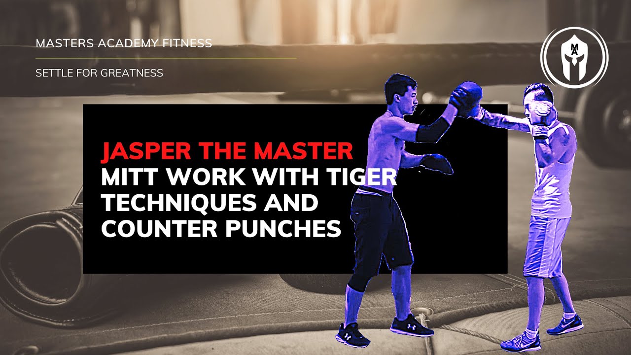 Boxing Training - Working Mitts and Pool Noodles with Tiger - YouTube