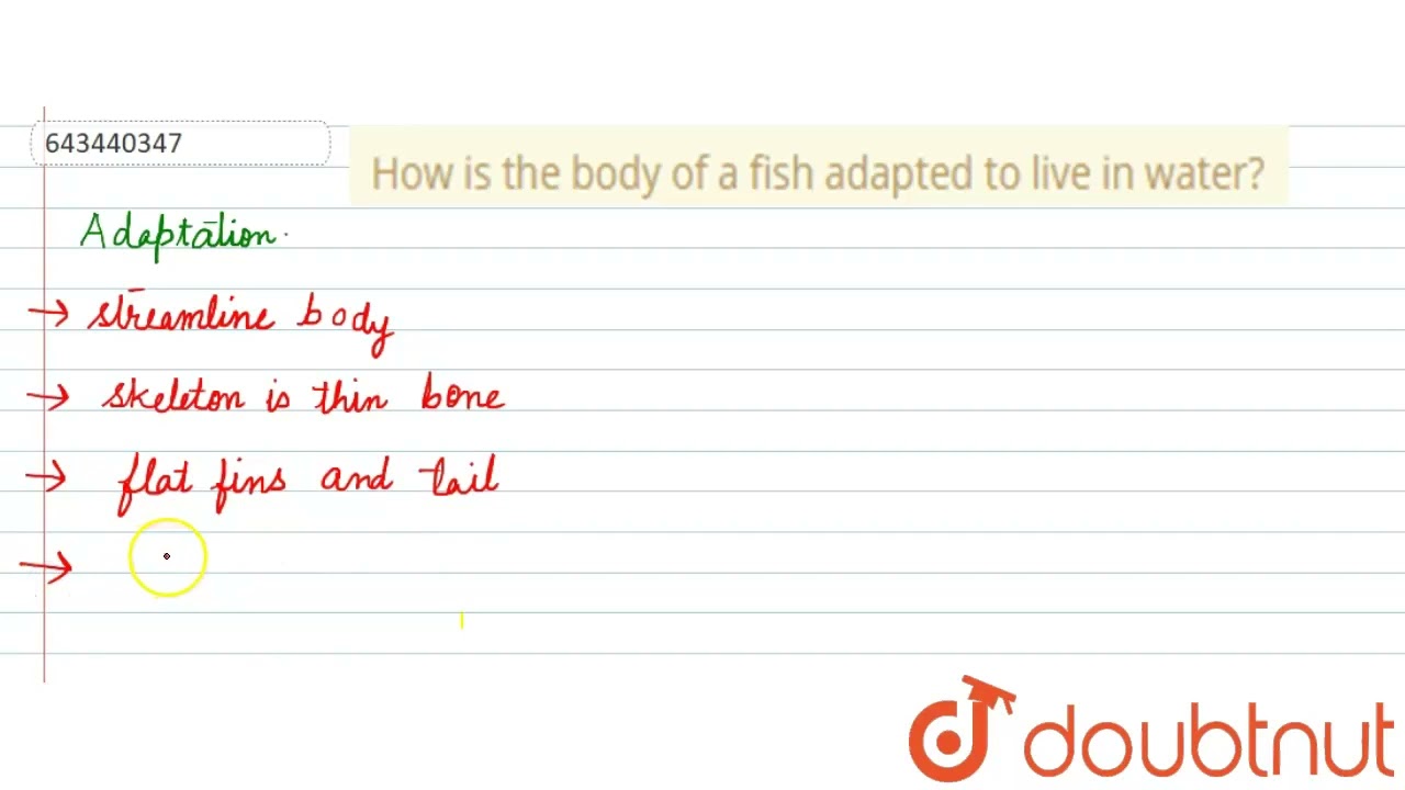 Adaptation Of Fish In Water