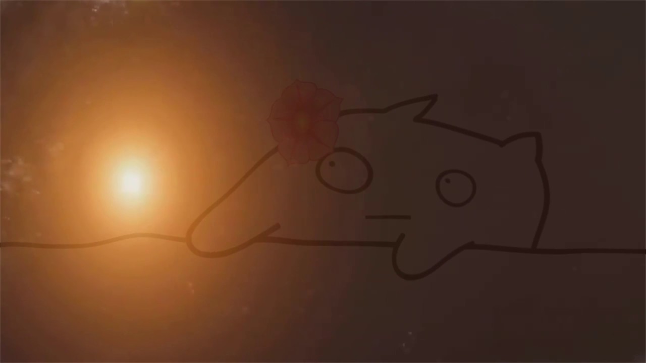 Bongo Cat - Transcendence Cat - The Prophecy Is True - YouTube