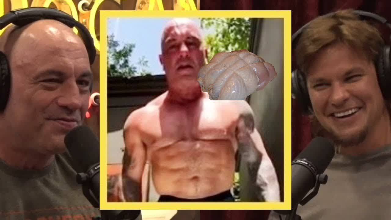Joe Rogan & Theo LOL You Look Like A TURKEY!_R - YouTube