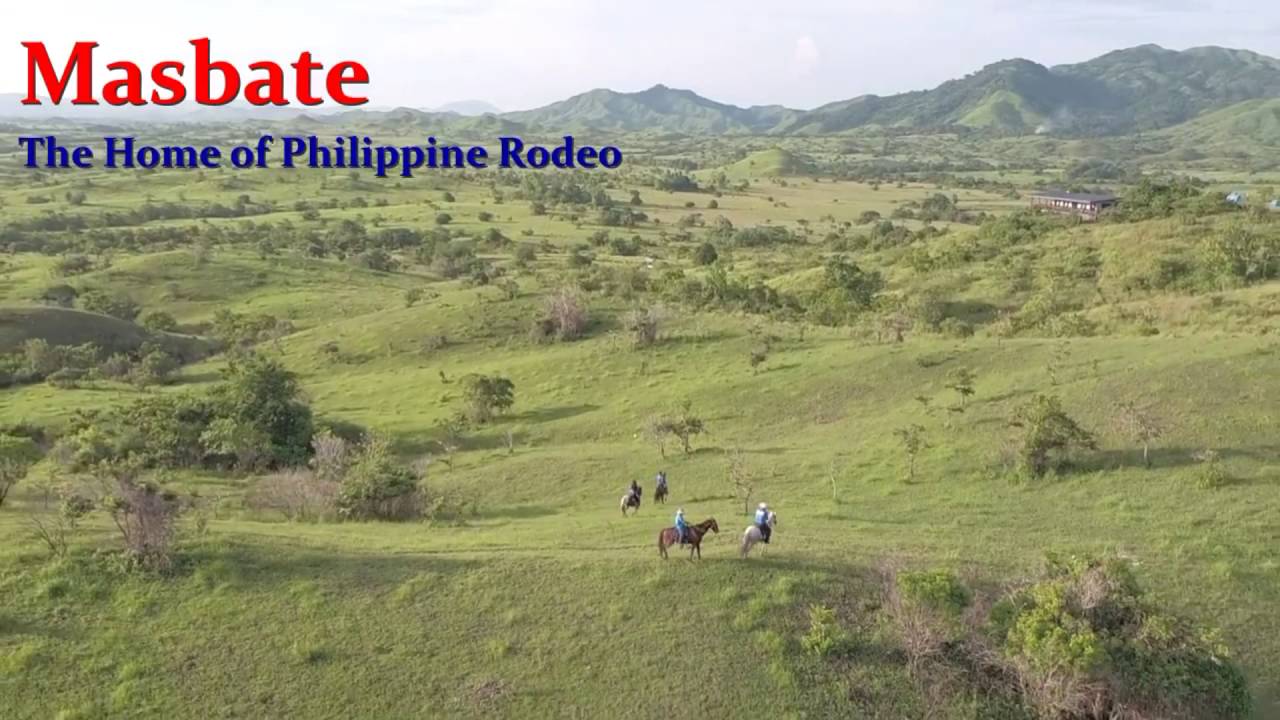 Sese Brahmans - YouTube