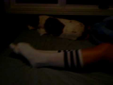 my girlfriends cute striped socks