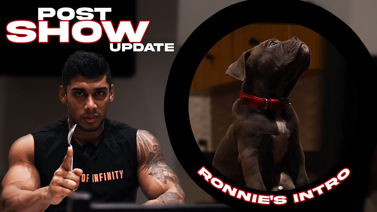 RAJA AJITH IFBB PRO LEAGUE POST SHOW UPDATE AND HIS NEXT SHOW - YouTube