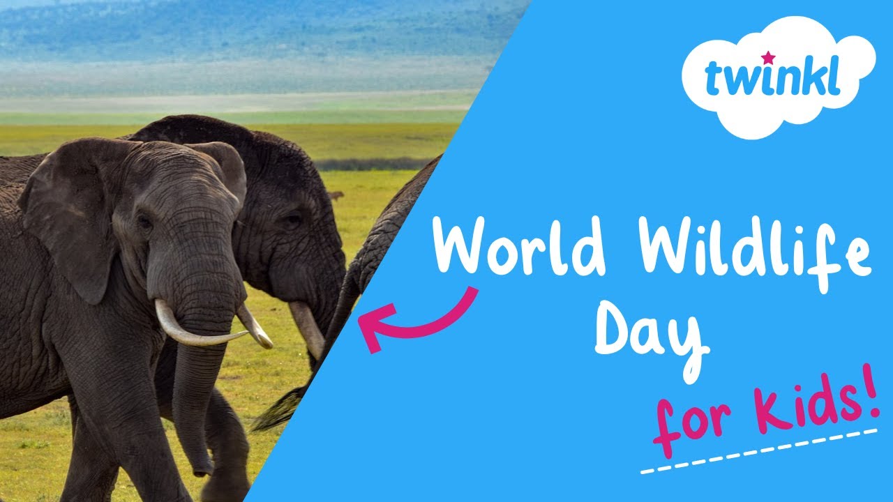 🐒 World Wildlife Day for Kids! | 3 March | Deforestation | Climate ...