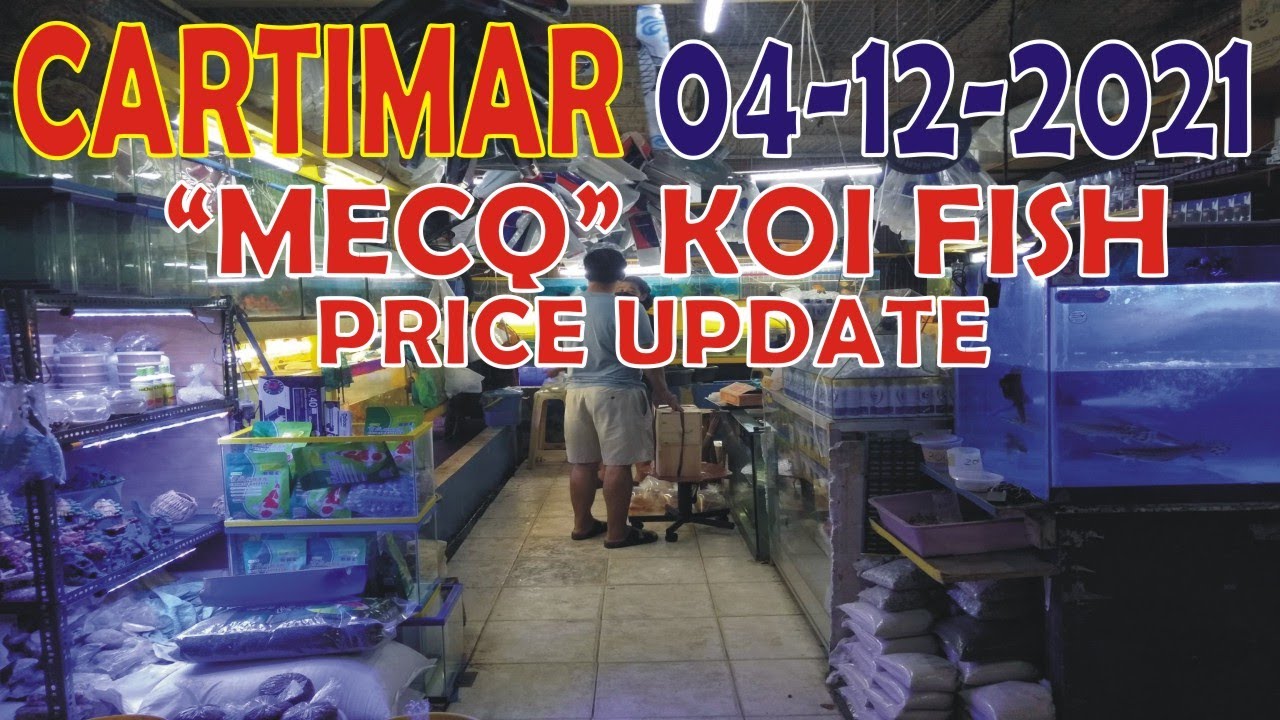 CARTIMAR "MECQ" KOI FISH PRICE UPDATE 04-12-2021 - YouTube