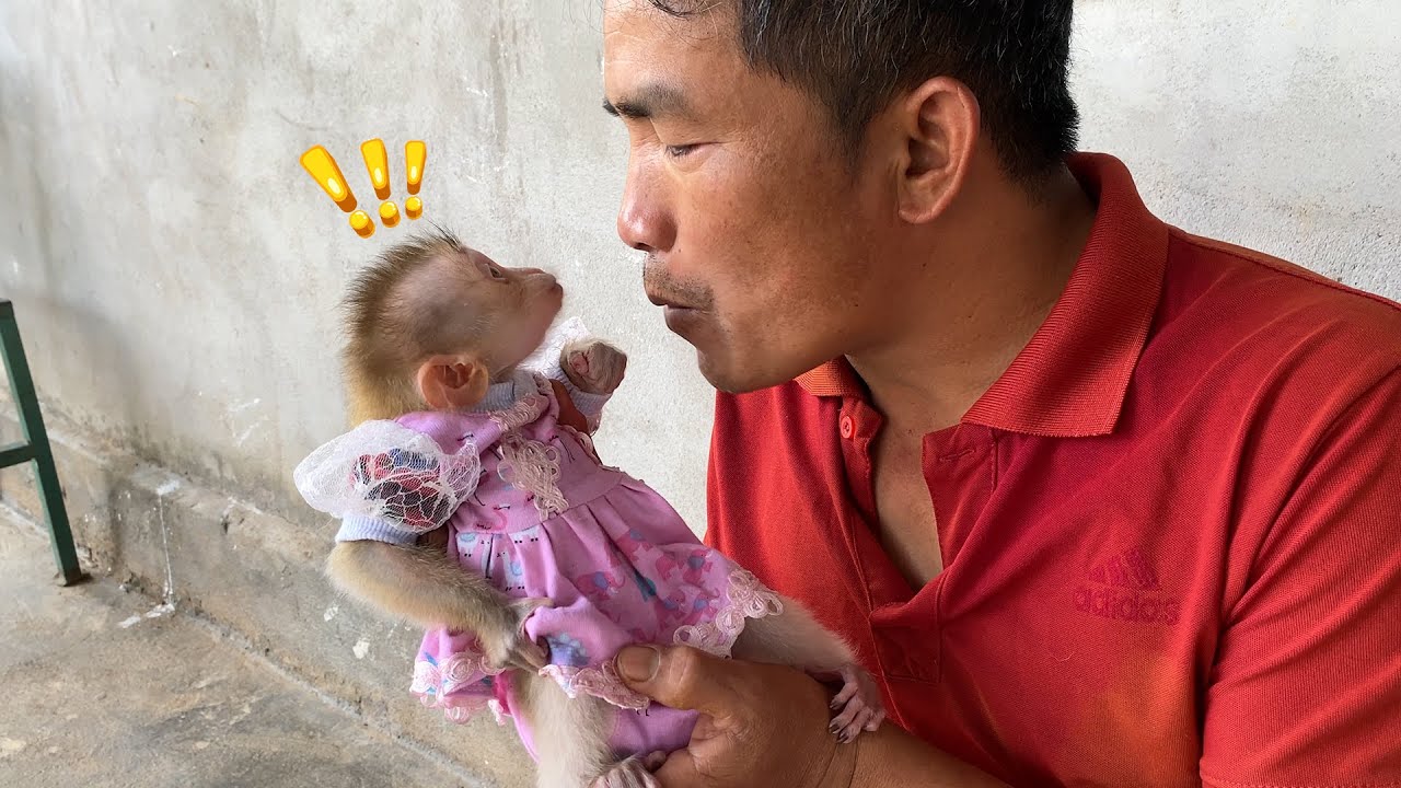 Princess ZIM is confused when DAD makes jokes | Monkey Zim - YouTube