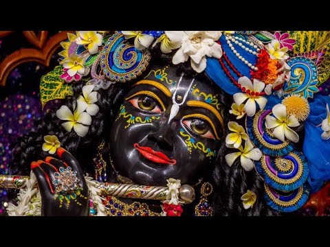 Nibedana Kari Prabhu || Sachikumar Das || Mayapur || 2019