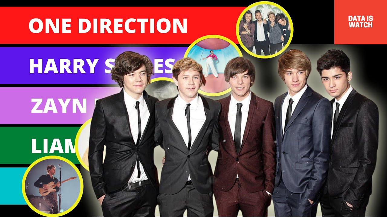 All One Direction Former Members Vs Each Other: Subscriber Counts ...