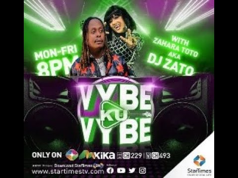 THE BEST KEPT SECRET - MIMBYE video Premier....Vibe Ku Vibe DR PROPA ...