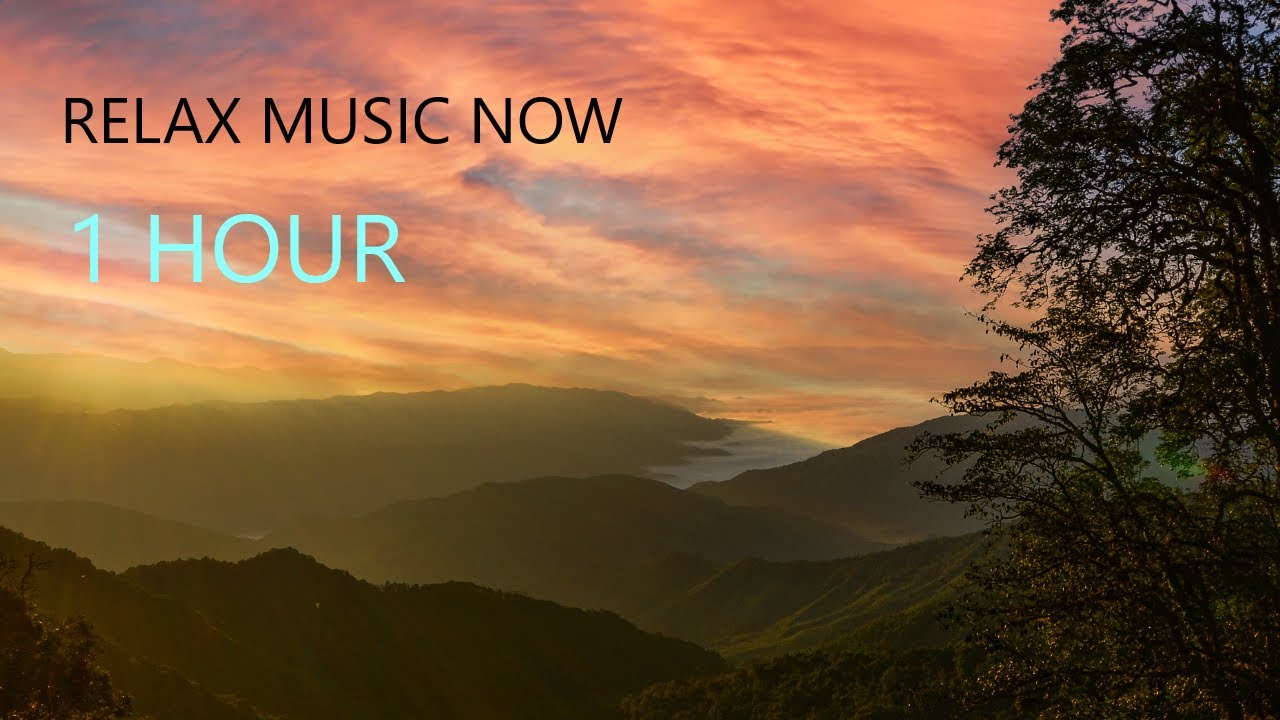 ENJOY MY NEW VIDEO | 1 HOUR OF DEEP RELAX MUSIC VIDEOS OF NATURE - YouTube