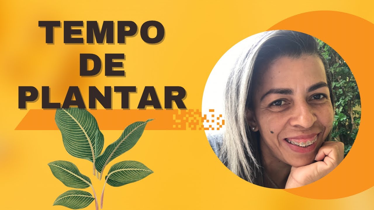 Tempo de Plantar - YouTube