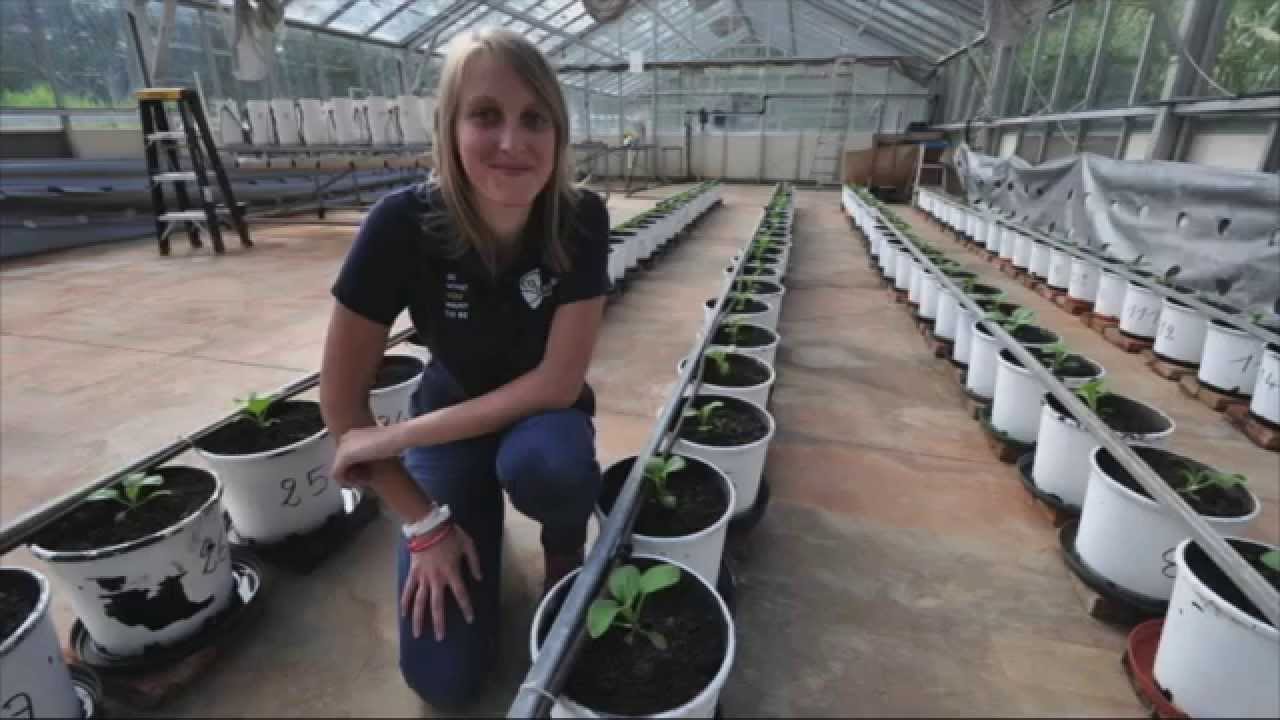 CQUniversity / CQ TAFE Merger - YouTube