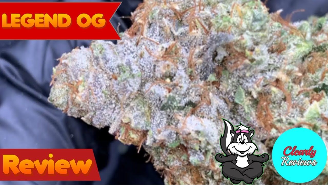 Legend OG By Teaming With Terps STRAIN REVIEW - YouTube