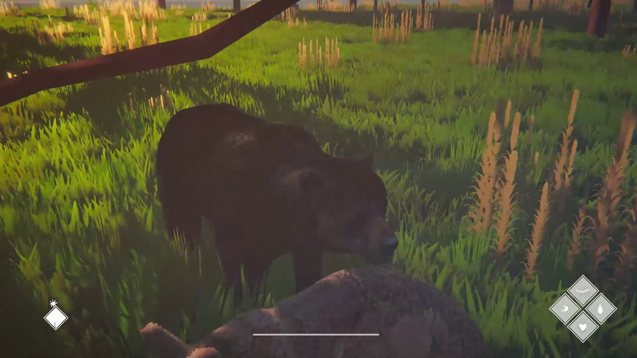 BEARS! | 30 second Devlog | Subdivided : A coyote simulator - YouTube