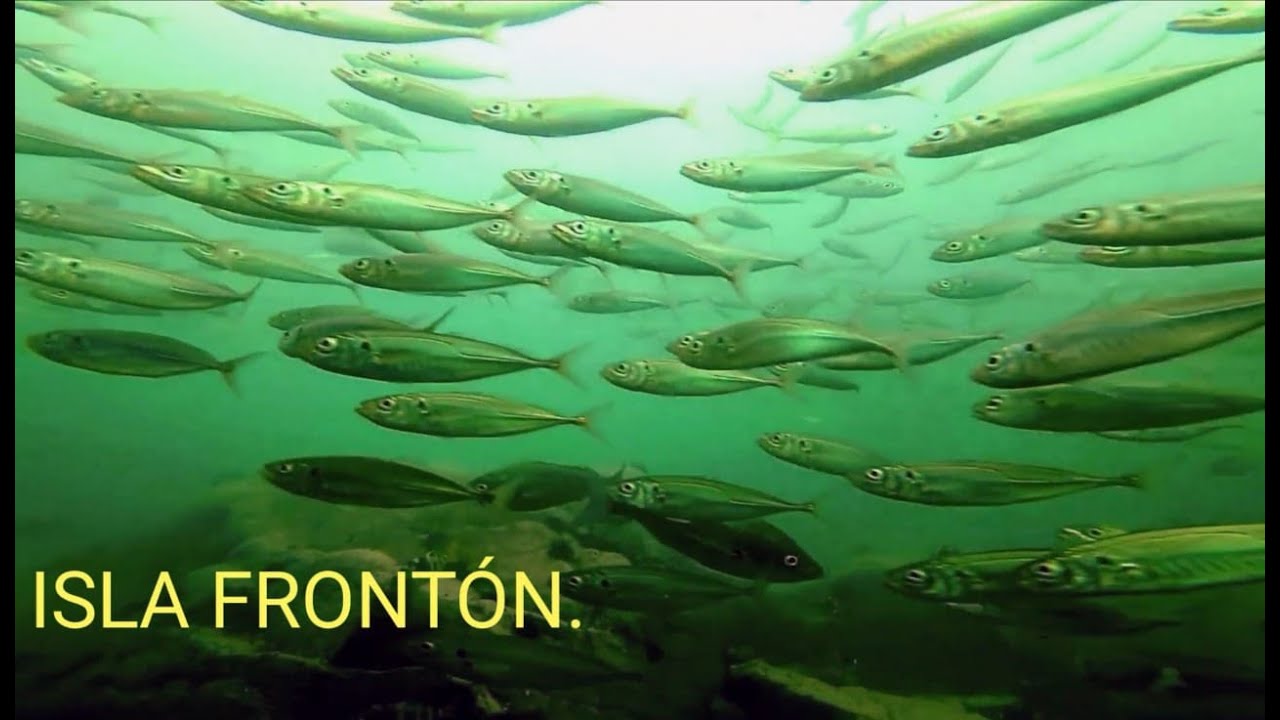 ISLA FRONTON. CALLAO - PERÚ - YouTube