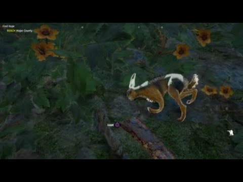 Jack rabbit Club hunting #FARCRY - YouTube