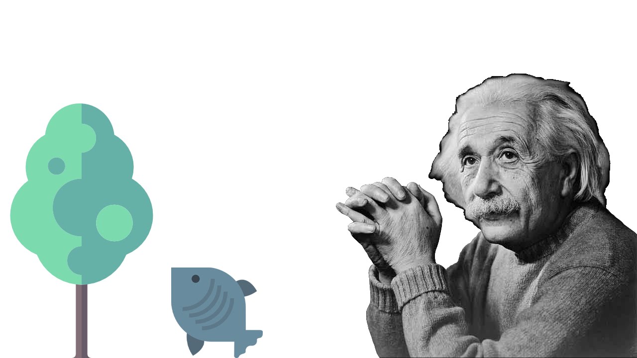 Albert Einstein Quotation – English Quotations #8 – What can fish teach ...