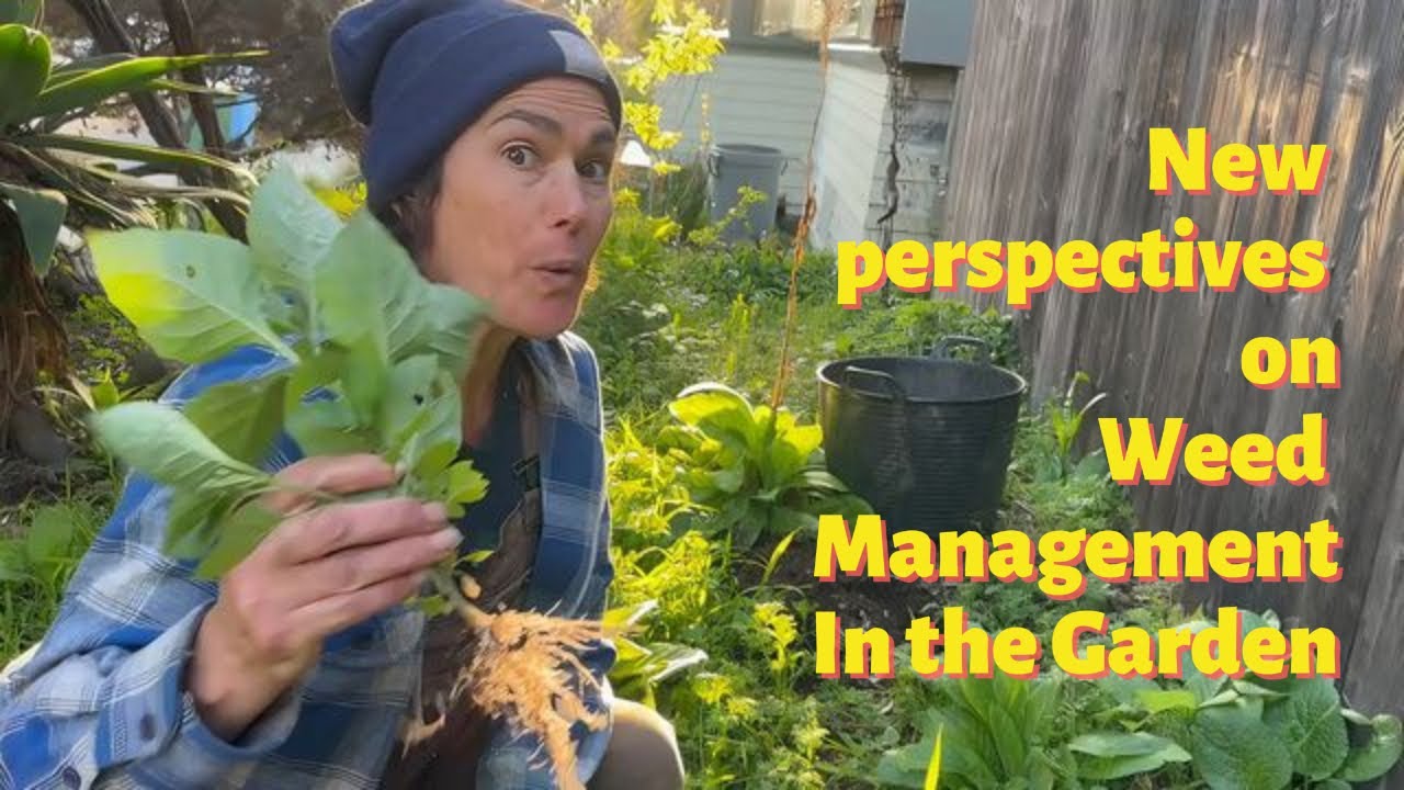 New Perspectives On Weed Management In The Garden (Unconventional Weeding Tips) - YouTube