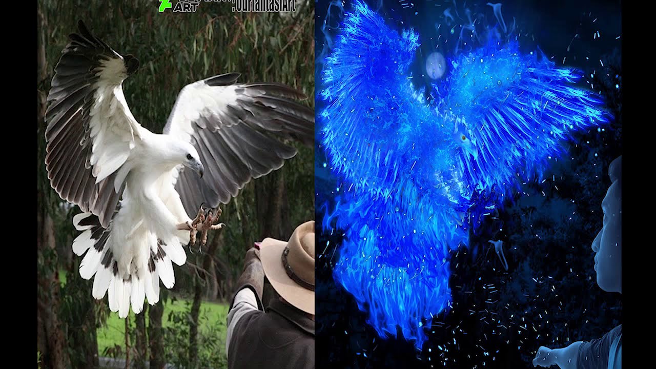 Photoshop Fire effect: The Blue Fiery Eagle - YouTube