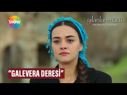 'Gelevera Deresi' / Yılanların Öcü